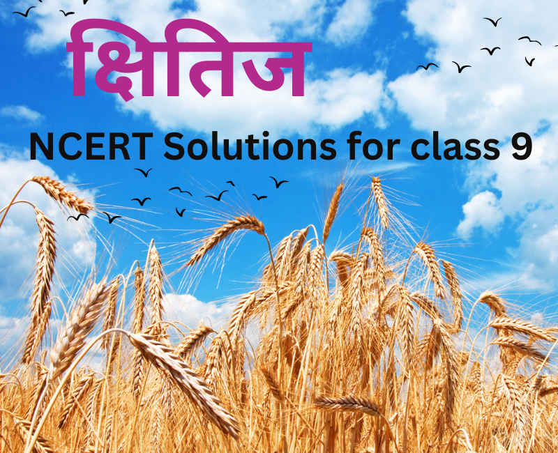 Circles Class 9 Worksheet With Solutions including MCQs